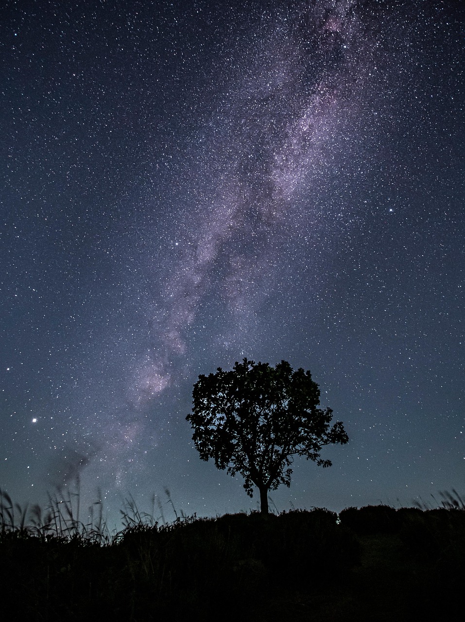 Milky Way Star Night - Free photo on Pixabay - Pixabay