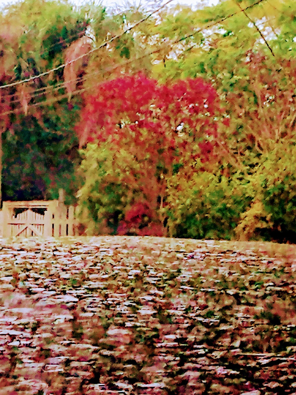 Paysage Le Printemps - Photo gratuite sur Pixabay - Pixabay