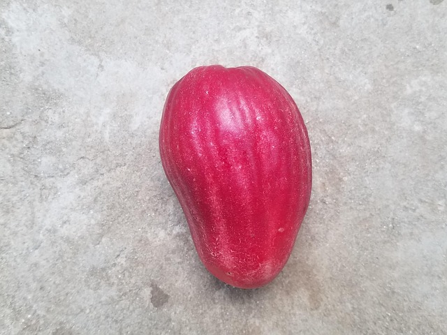 Water Apple Fruit Healthy - Free photo on Pixabay - Pixabay