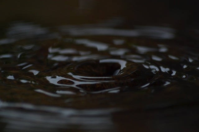 30,000+ Free Water Drops Sound & Nature Images - Pixabay