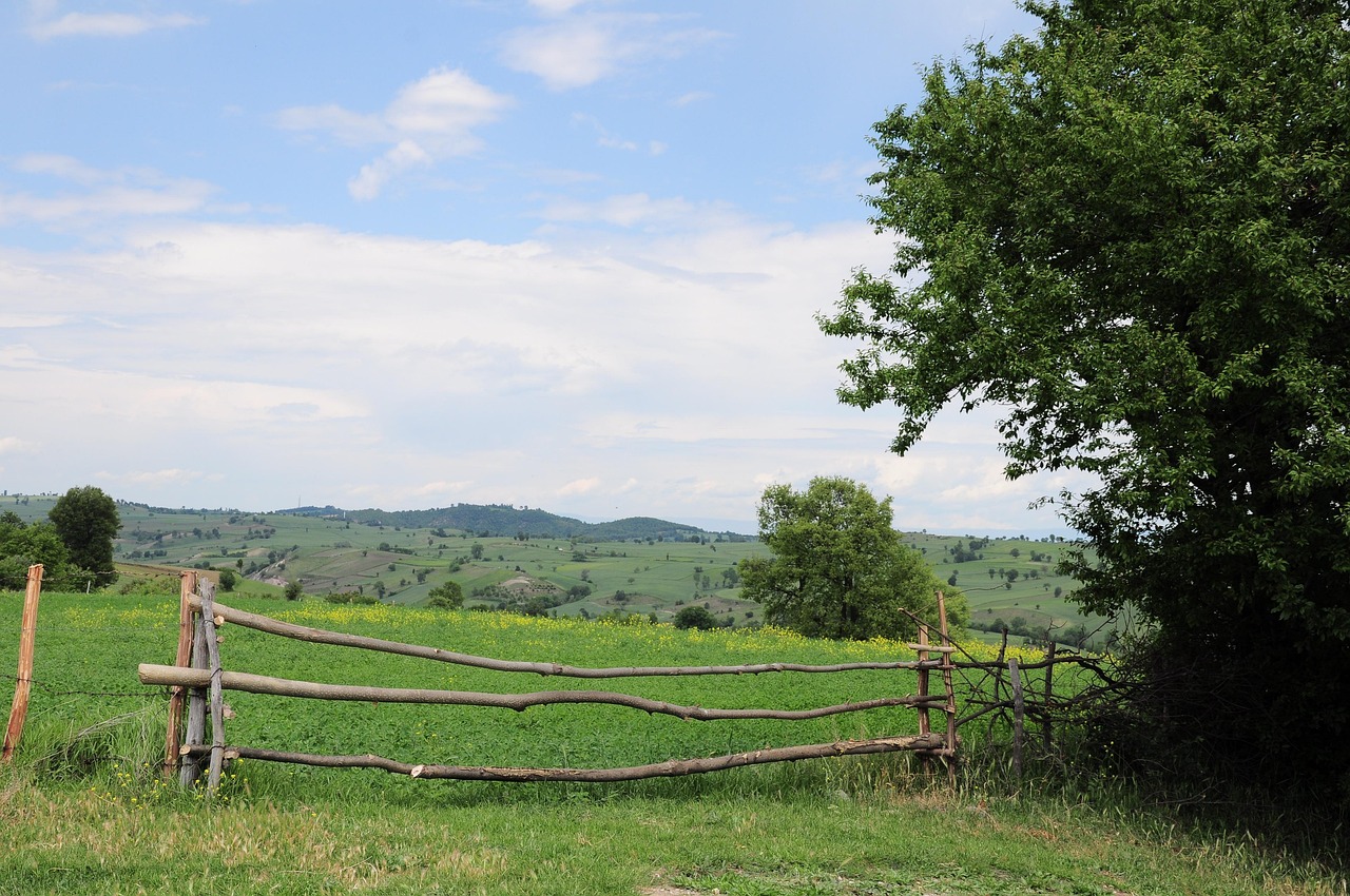 Vert La Nature Vue Photo De - Photo gratuite sur Pixabay - Pixabay