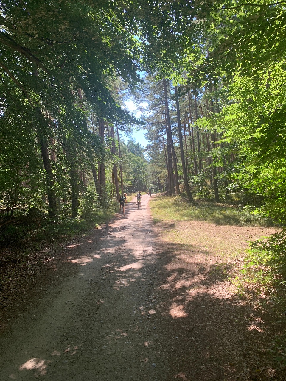 Piste Cyclable Forêt - Photo gratuite sur Pixabay - Pixabay