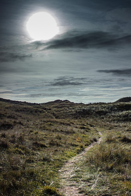 Trail Pathway Sun - Free photo on Pixabay