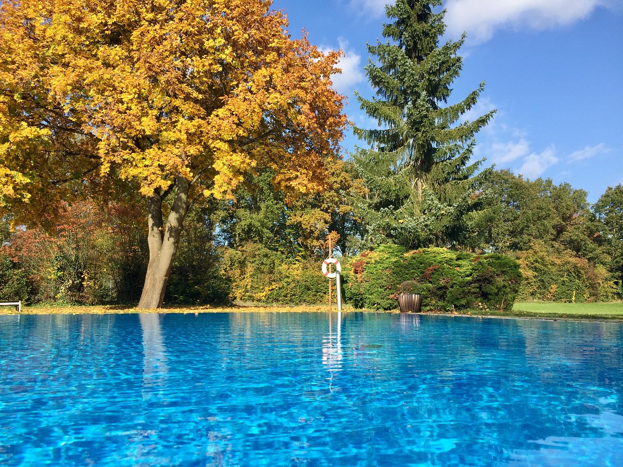 Herbstbild Herbst Natur - Kostenloses Foto auf Pixabay - Pixabay
