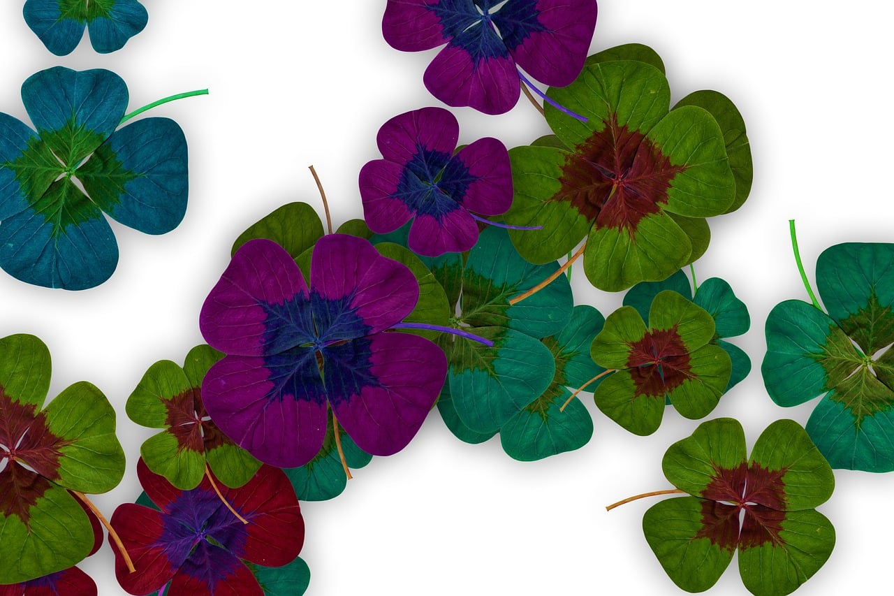 Explore 735+ Free Clover Illustrations: Download Now - Pixabay