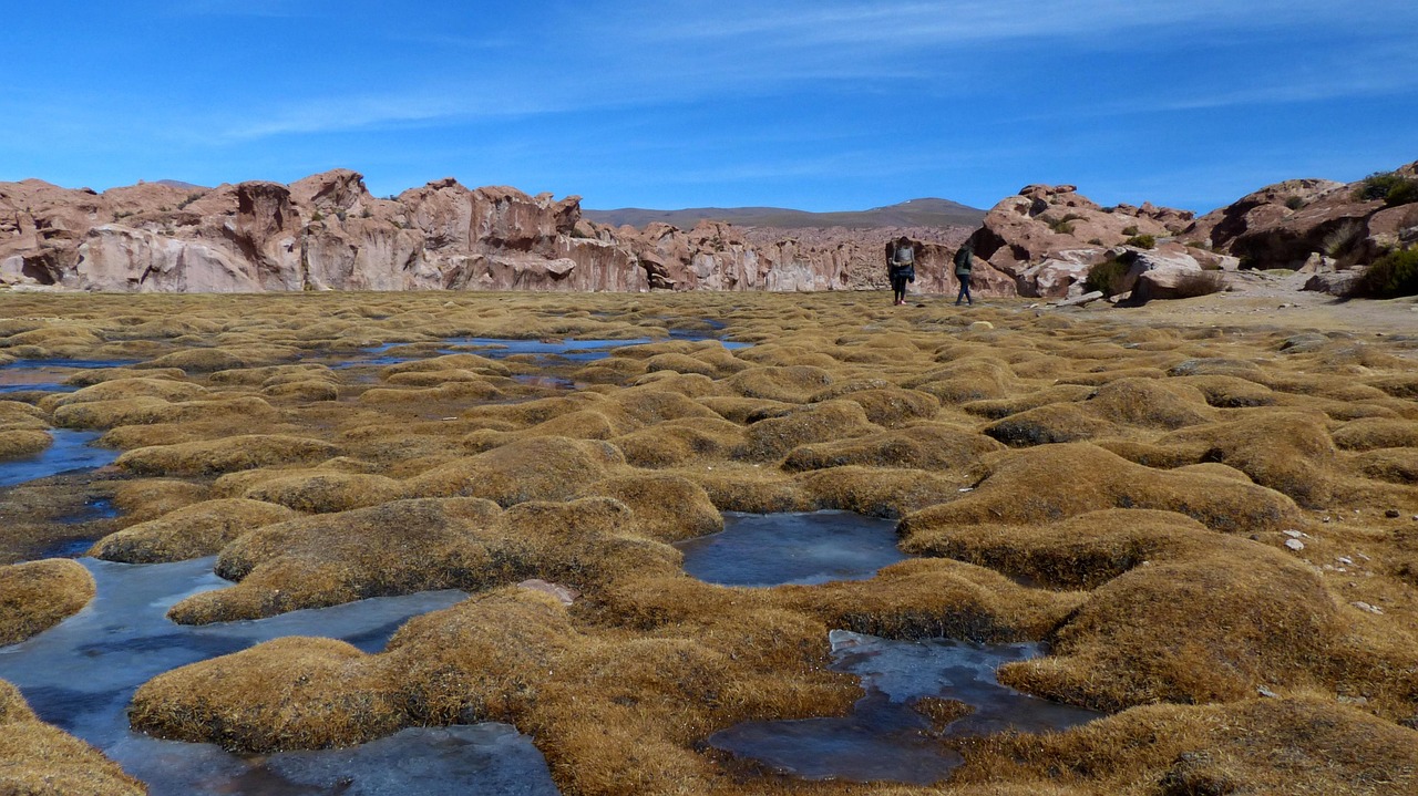 Lago Musgo Naturaleza - Foto gratis en Pixabay
