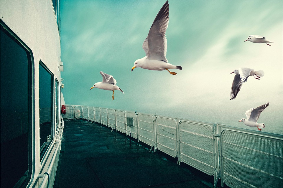 Seagulls Flying Ship - Free photo on Pixabay