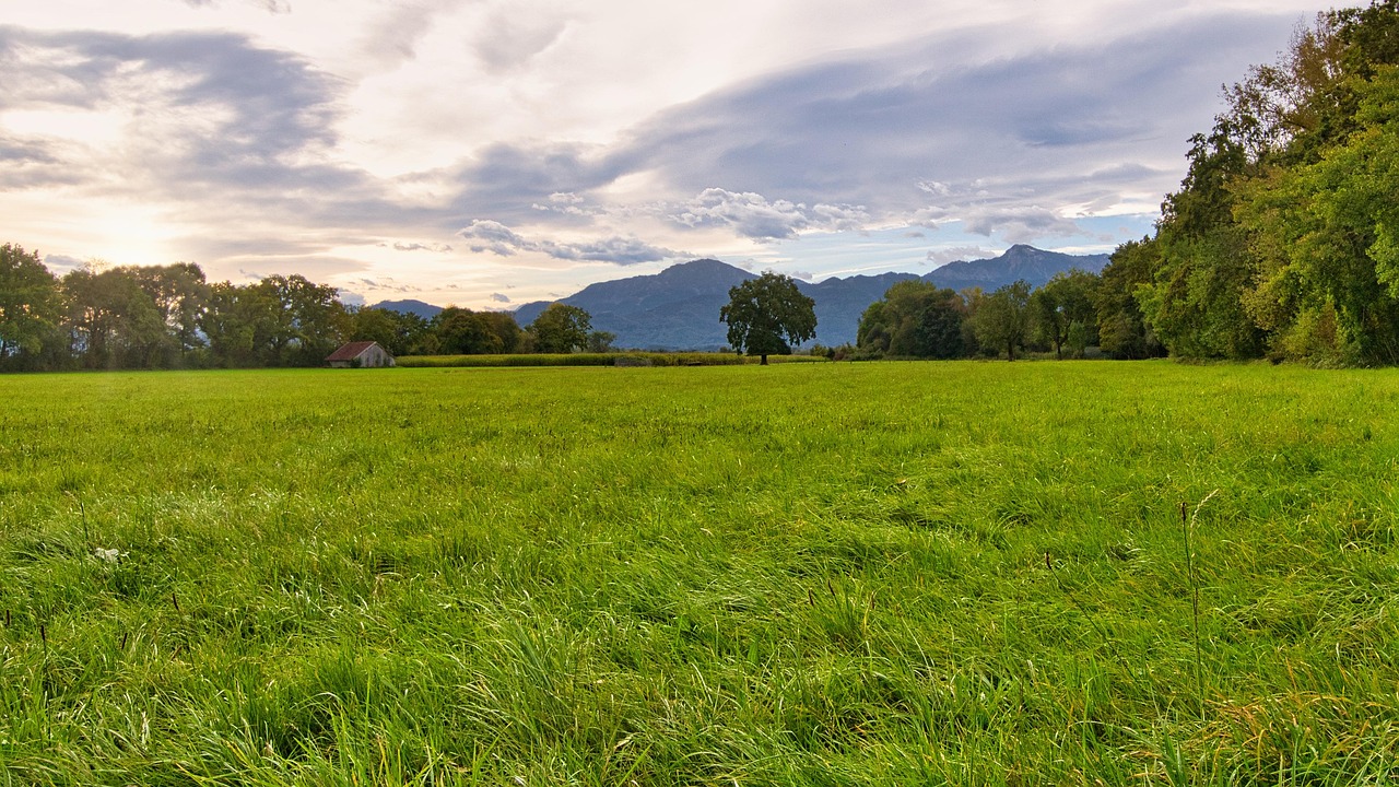 Nature Field Pasture - Free photo on Pixabay - Pixabay
