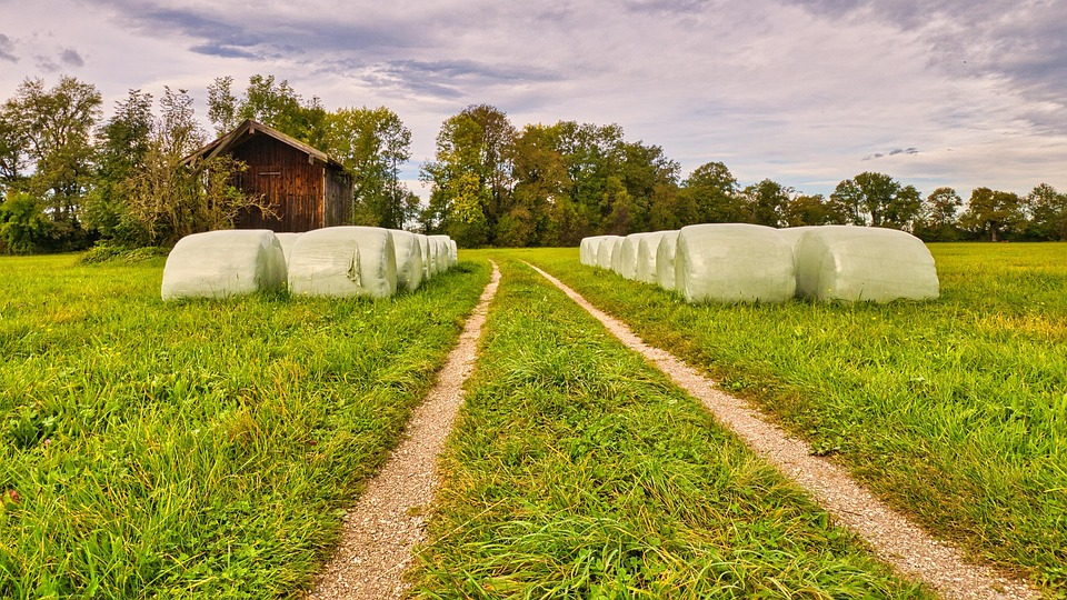 Nature Field Trail - Free photo on Pixabay