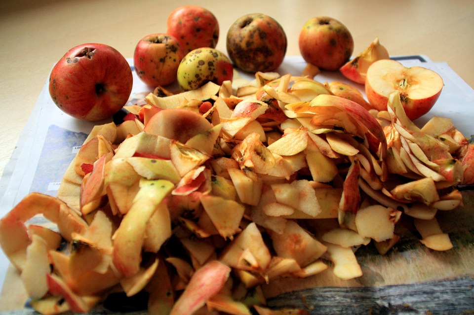 Apple Peel Apples Fruit - Free photo on Pixabay - Pixabay