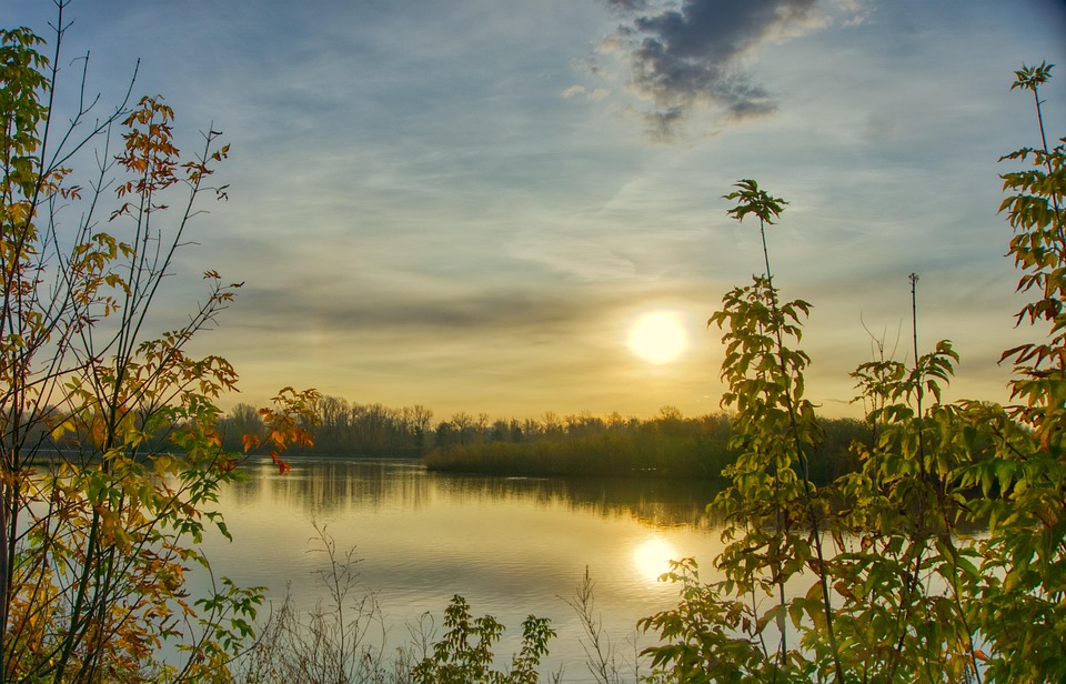 River Sunrise Plants Free Photo On Pixabay Pixabay