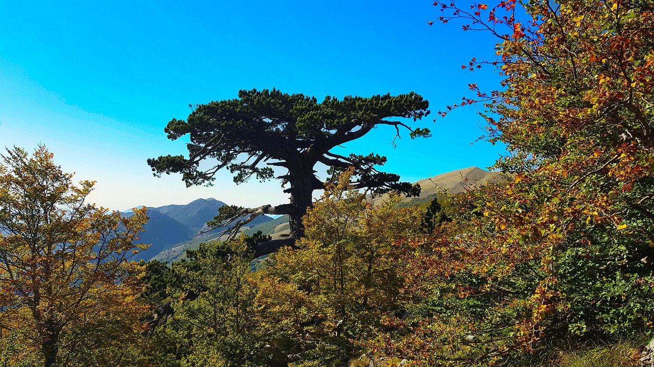 Parque Nacional Pollino Editor - Foto gratis en Pixabay - Pixabay