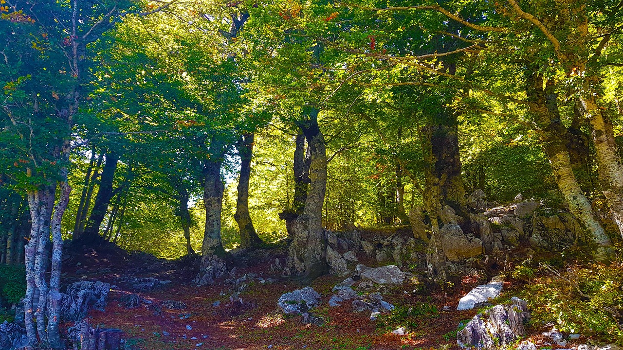 Parque Nacional Pollino Editor - Foto gratis en Pixabay - Pixabay