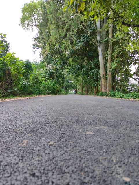 Road Path - Free photo on Pixabay - Pixabay