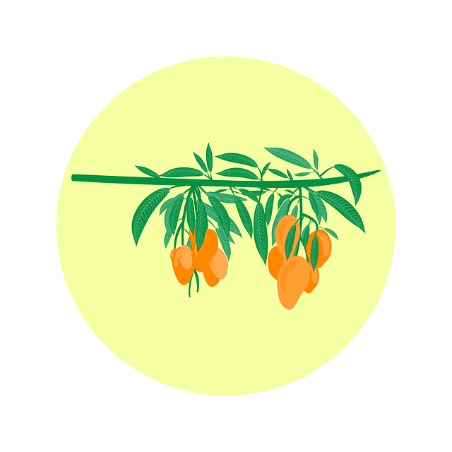 Download Fruits, Mangoes, Icon. Royalty-Free Vector Graphic - Pixabay