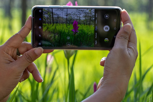 Smartphone Hands Photography - Free photo on Pixabay