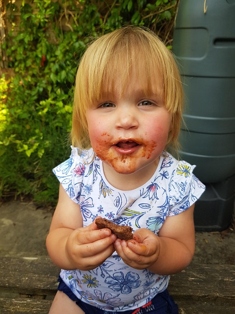 Child Messy Face - Free photo on Pixabay