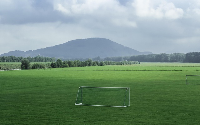 80,000+ Free Soccer-Field & Football Images - Pixabay