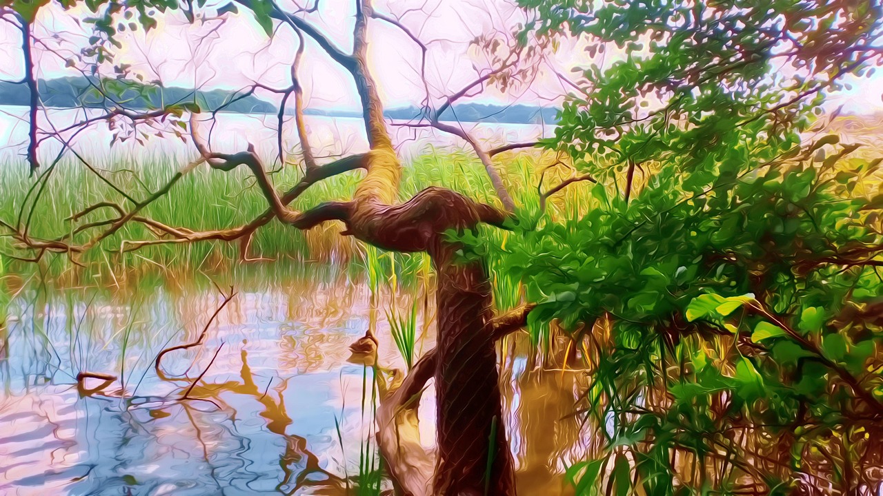 Copac Lângă Lac Natura De Vara - Fotografie gratuită pe Pixabay - Pixabay