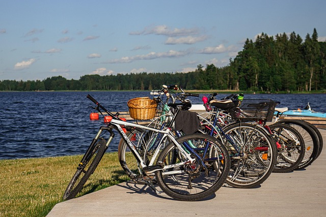 Bicycles Lake Park - Free photo on Pixabay