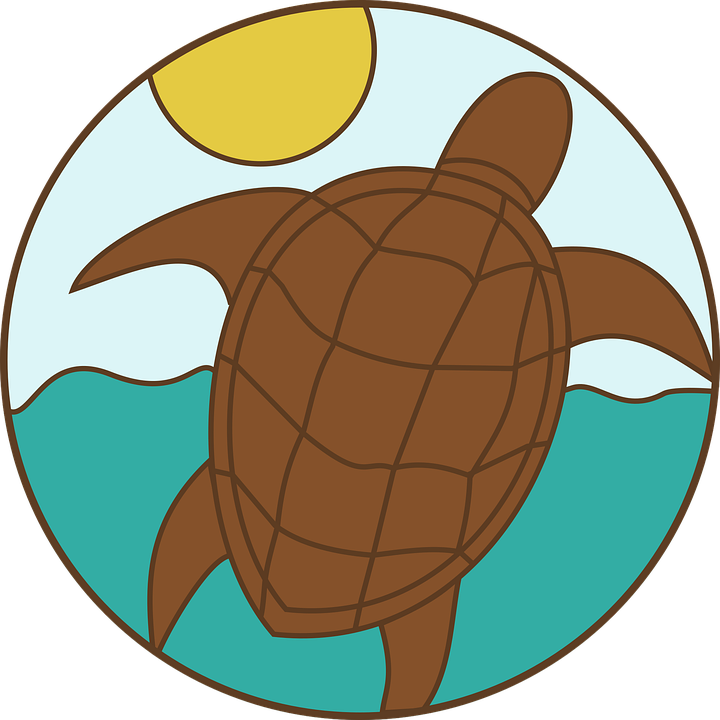 Download Turtle, Logo, Sea. Royalty-Free Vector Graphic - Pixabay