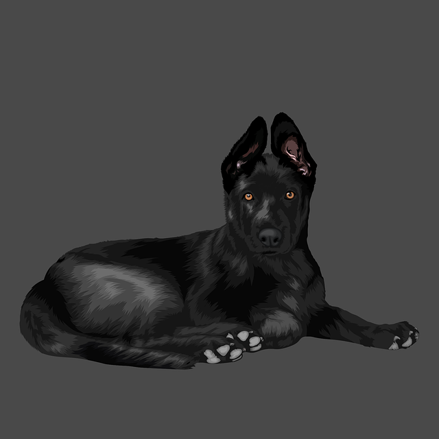 Download Dog, Pet, Animal. Royalty-Free Vector Graphic - Pixabay