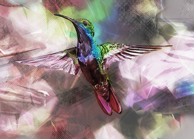 2,000+ Free Hummingbird & Nature Images - Pixabay