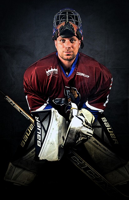 500+ Free Hockey & Ice Hockey Images - Pixabay