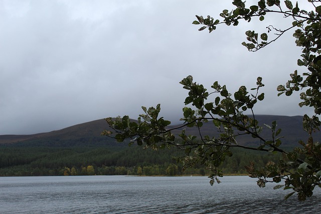 Aviemore Scotland Loch - Free photo on Pixabay - Pixabay