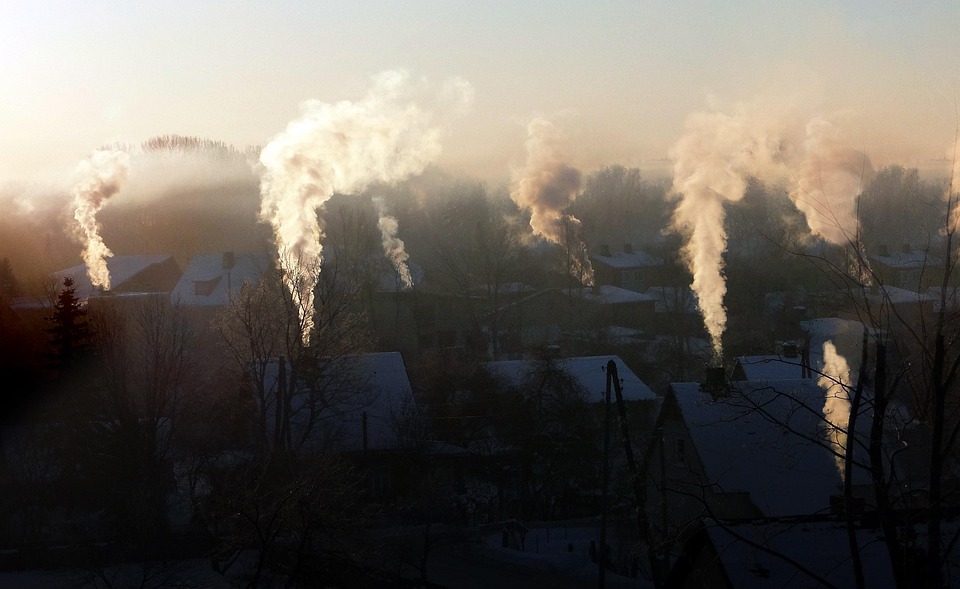 Cold January Morning Winter - Free photo on Pixabay - Pixabay