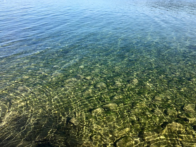Nature Lake Water - Free photo on Pixabay