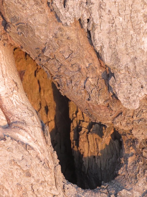 Caverne La Grotte Nature - Photo gratuite sur Pixabay - Pixabay