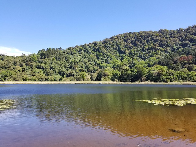Laguna Verde Apaneca Santa - Foto gratis di Pixabay - Pixabay