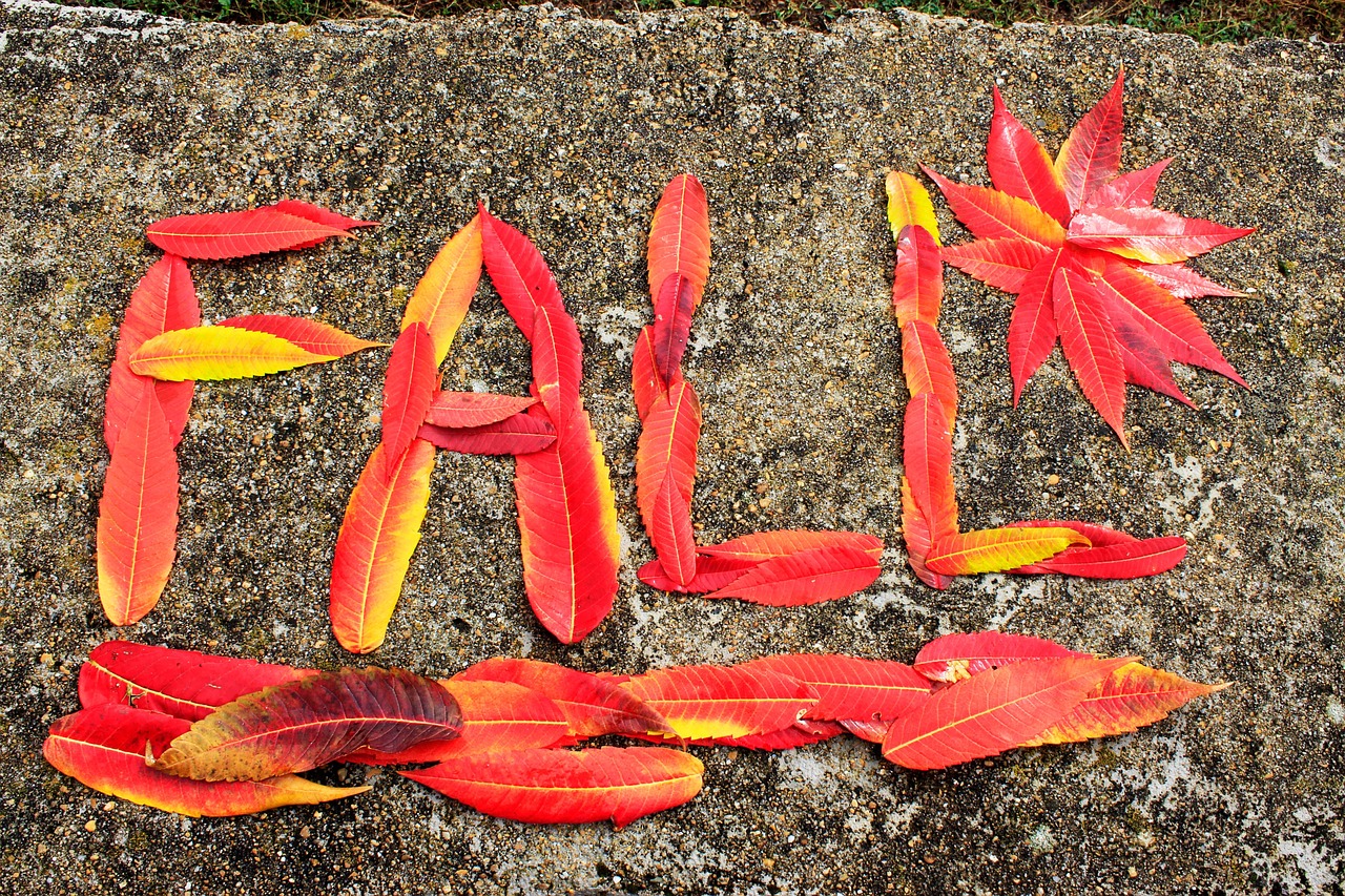 Fall Autumn Leaves - Free photo on Pixabay - Pixabay