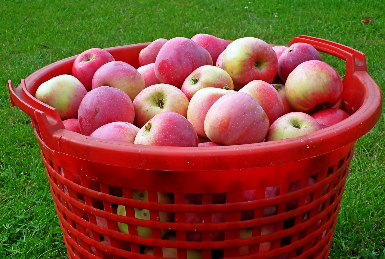 Manzanas Fruta Cesta - Foto gratis en Pixabay - Pixabay