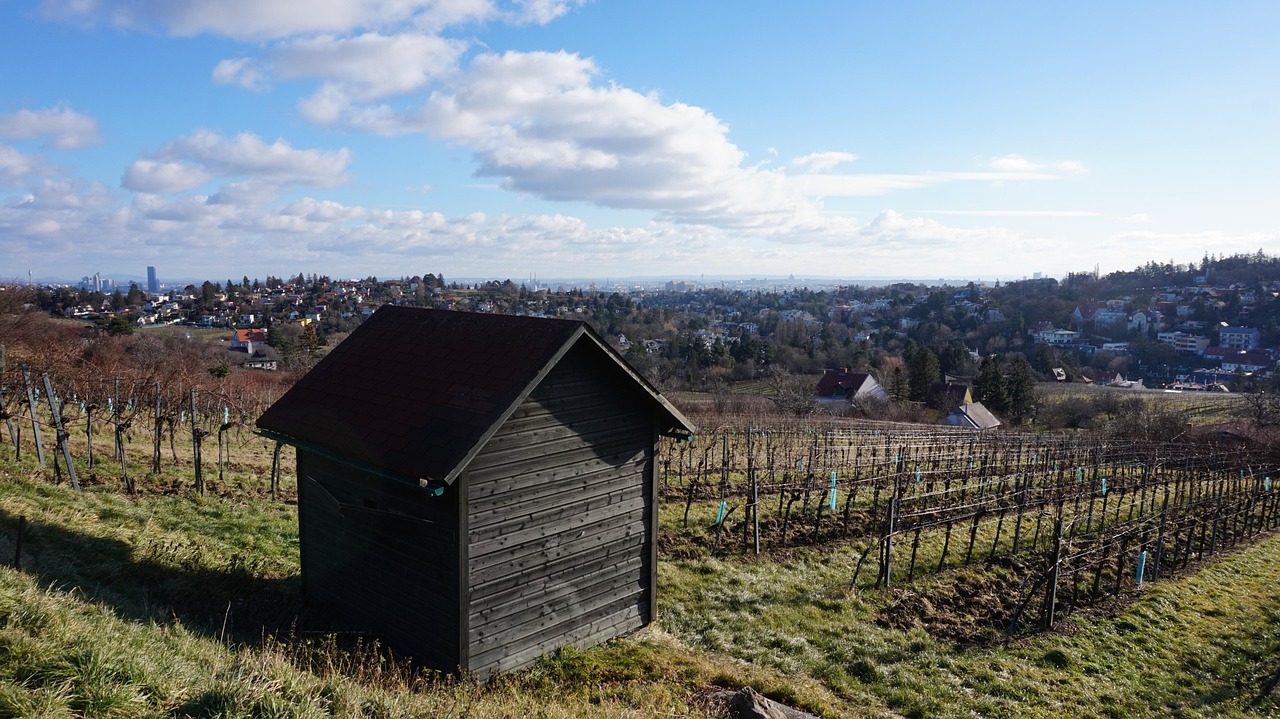 Kebun Anggur Rumah Austria - Foto gratis di Pixabay - Pixabay