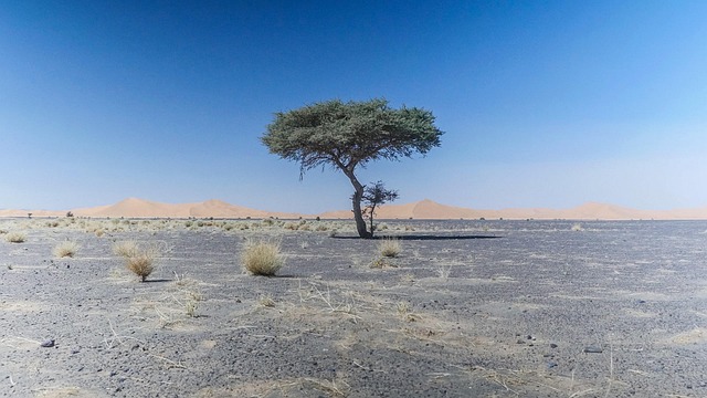 Morocco Landscape Desert - Free photo on Pixabay - Pixabay