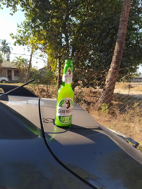 Serengeti Bier - Kostenloses Foto auf Pixabay - Pixabay