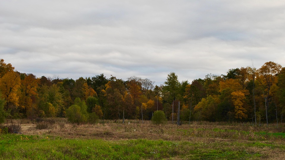 Autumn Northeast Indiana Leaves - Free photo on Pixabay - Pixabay