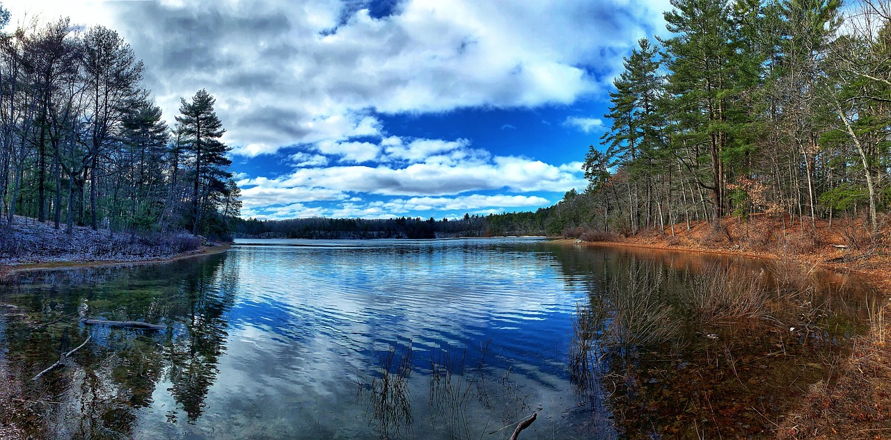 Massachusetts Walden Pond Lac - Photo gratuite sur Pixabay - Pixabay