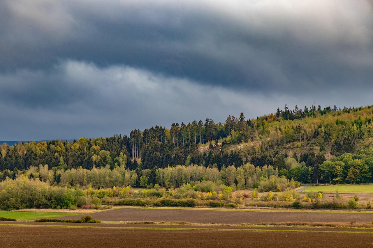 Sur Le Terrain Forêt Colline - Photo gratuite sur Pixabay - Pixabay