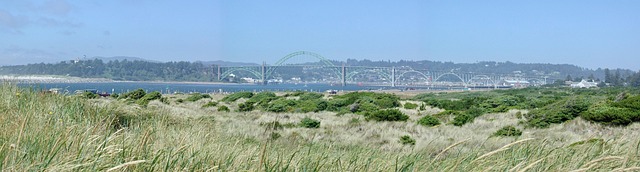 Oregon Beach Sub - Free photo on Pixabay - Pixabay