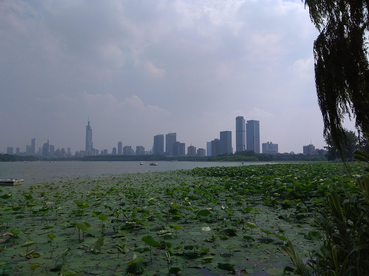 Xuanwu Lake - Free photo on Pixabay - Pixabay