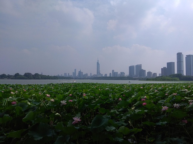 Lacul Xuanwu Lac - Fotografie gratuită pe Pixabay - Pixabay