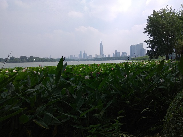 Lac Xuanwu - Photo gratuite sur Pixabay - Pixabay