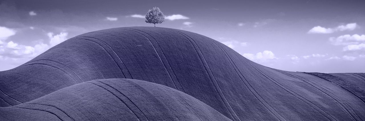 Download Countryside, Hills, Tree. Royalty-Free Stock Illustration ...