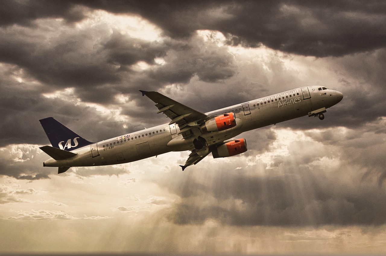Scandinavian Airlines Sas Airbus - Photo gratuite sur Pixabay - Pixabay