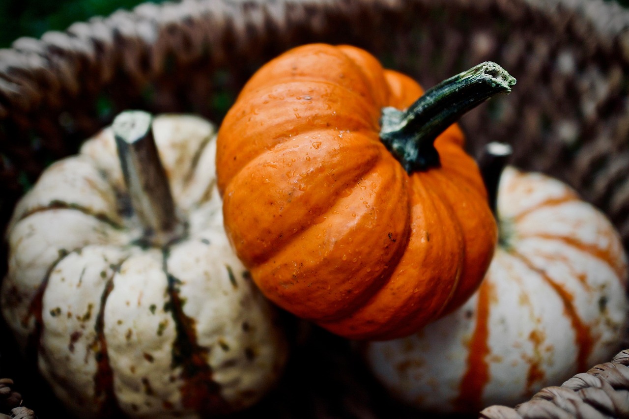 Pumpkins Vegetables Basket - Free photo on Pixabay - Pixabay