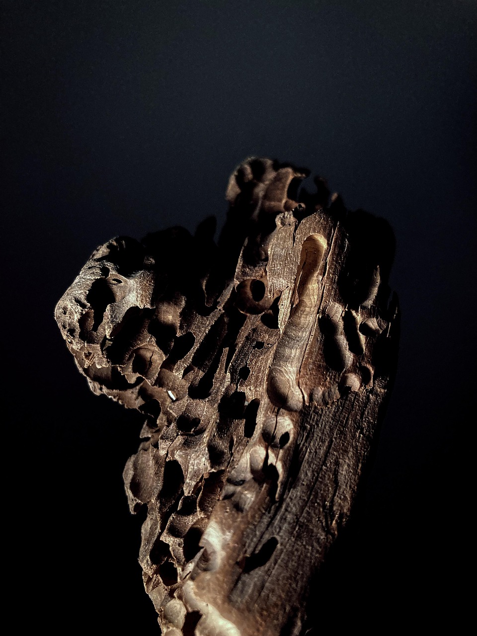 Holz Dunkel Altes - Kostenloses Foto auf Pixabay - Pixabay