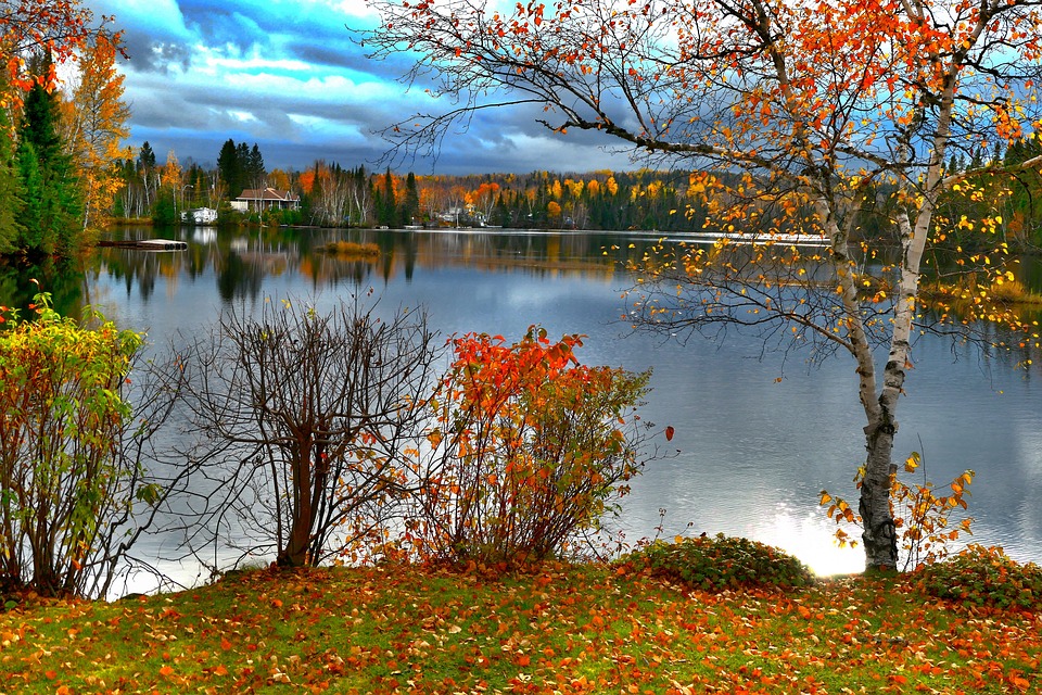 Landscape Nature Fall - Free photo on Pixabay
